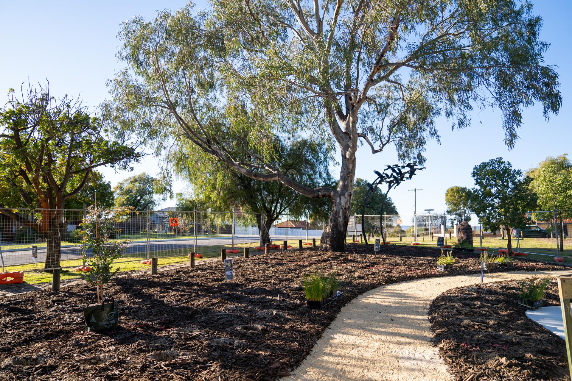 Yearly planting progress reports » Town of Victoria Park
