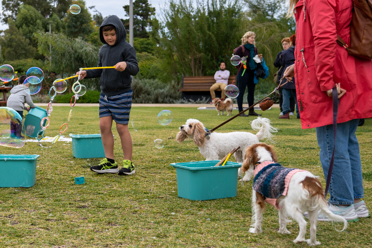 Events Calendar » Town of Victoria Park